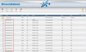 How to view Apache usage and error logs in DirectAdmin - IPSERVERONE