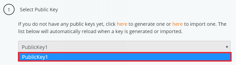 How To Launch Cloud Instance From One-Click Application - IPSERVERONE