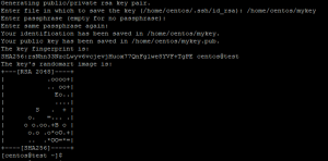 How to Generate OpenSSL RSA Key Pair on Linux Cloud Server - IPSERVERONE